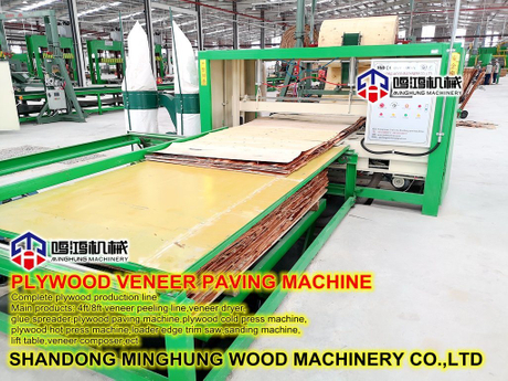 Wood Working Machine Plywood Veneer Core Lay out Machine - SHANDONG ...